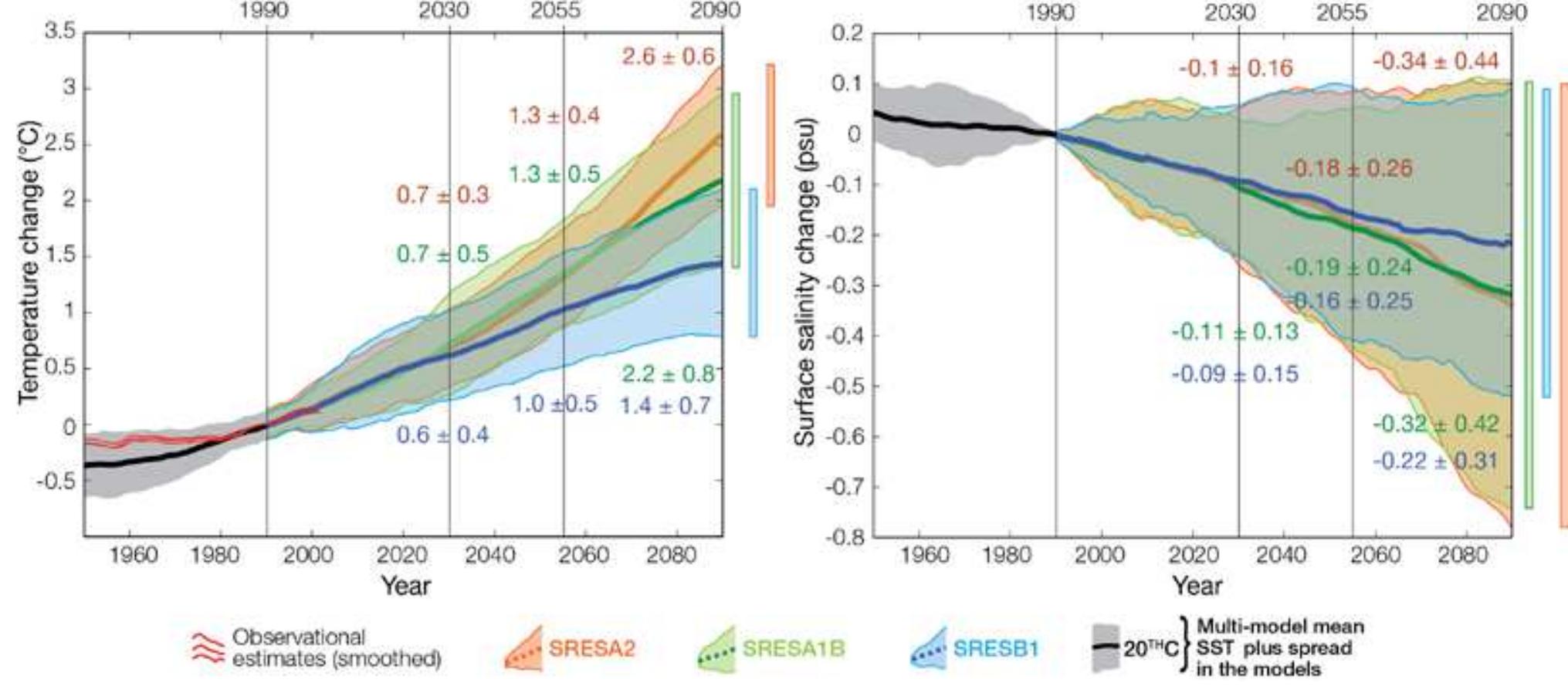 13: evolution of multi-model average sea-surface