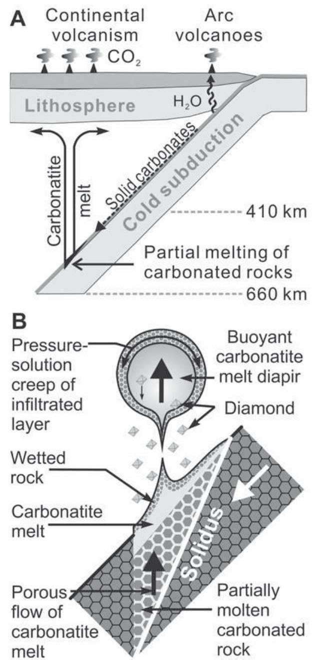 Schematic illustration of extraction of carbonatite melt