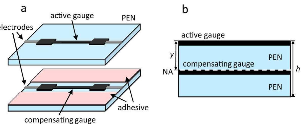 General schematic (a) and cross section (b) of
