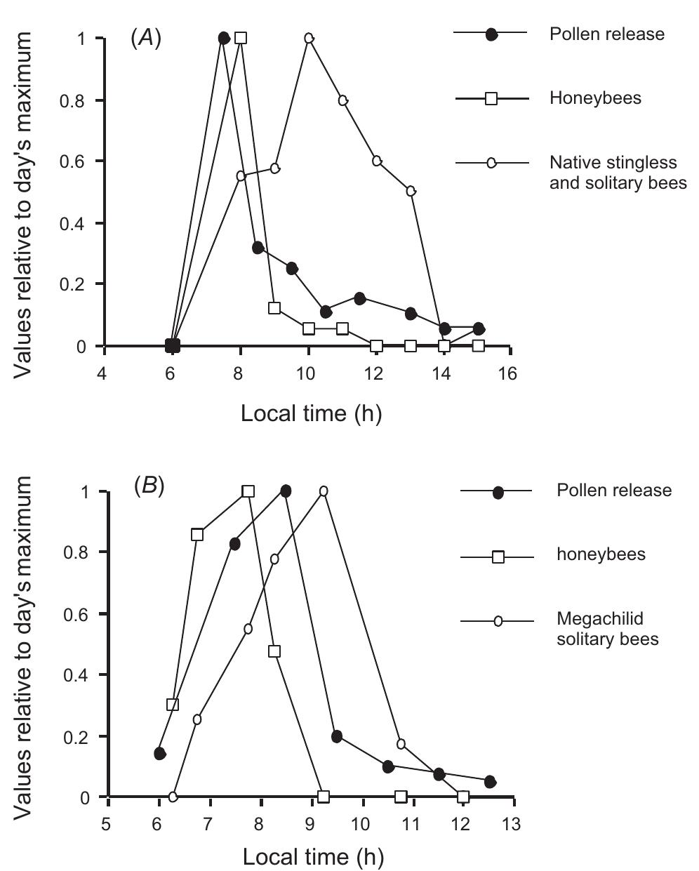 Pollen release and bee activity for single trees of (a)