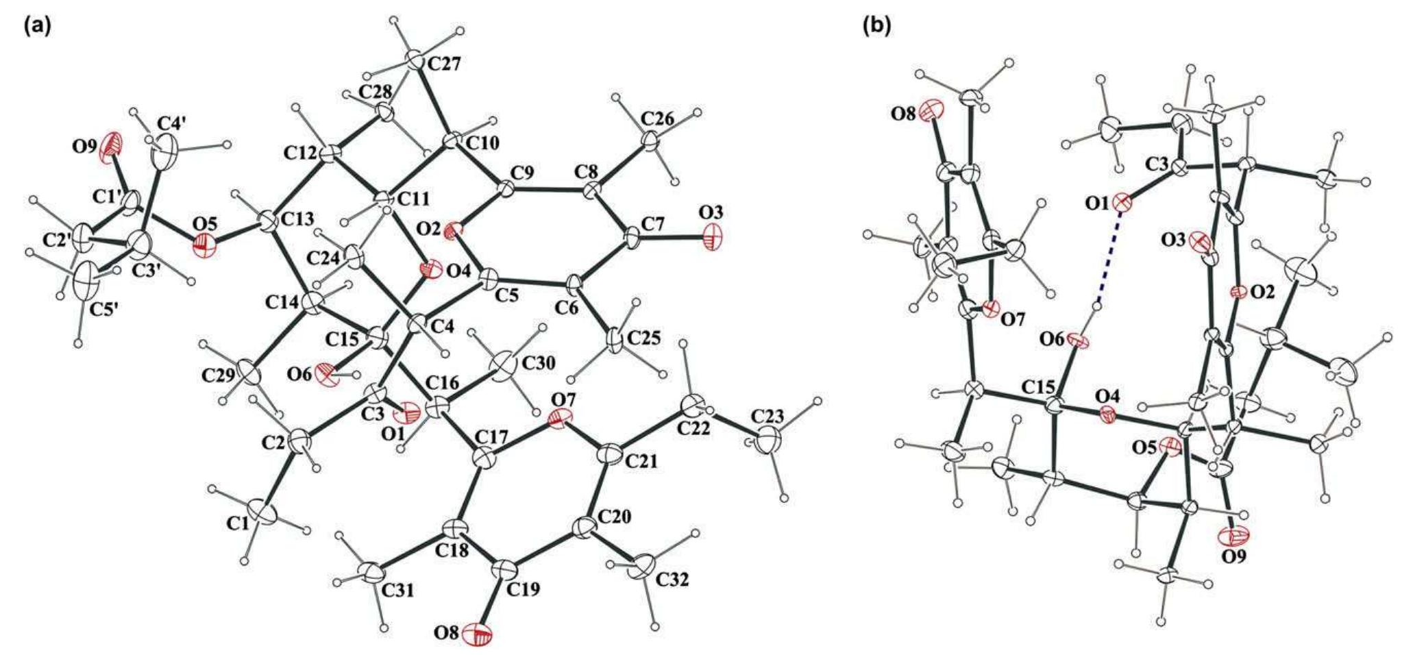Perspective views of the final x-ray model of 4—(a) atomic
