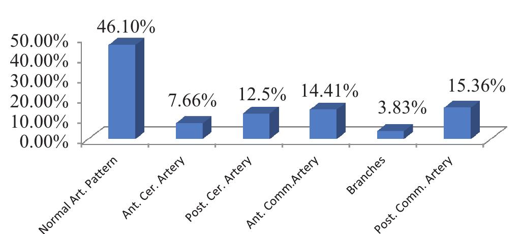 Graph-1: diagram to show the variations in arteries forming