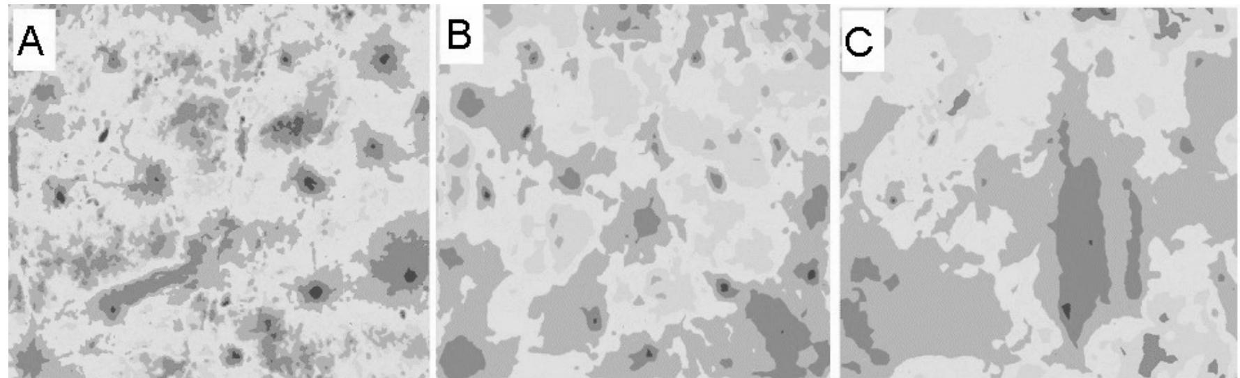 Kriging interpolation maps for images shown in figure 2