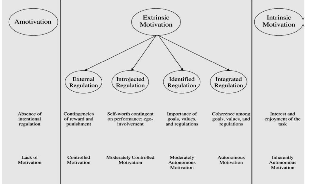 It could be seen that intrinsic and extrinsic motivated
