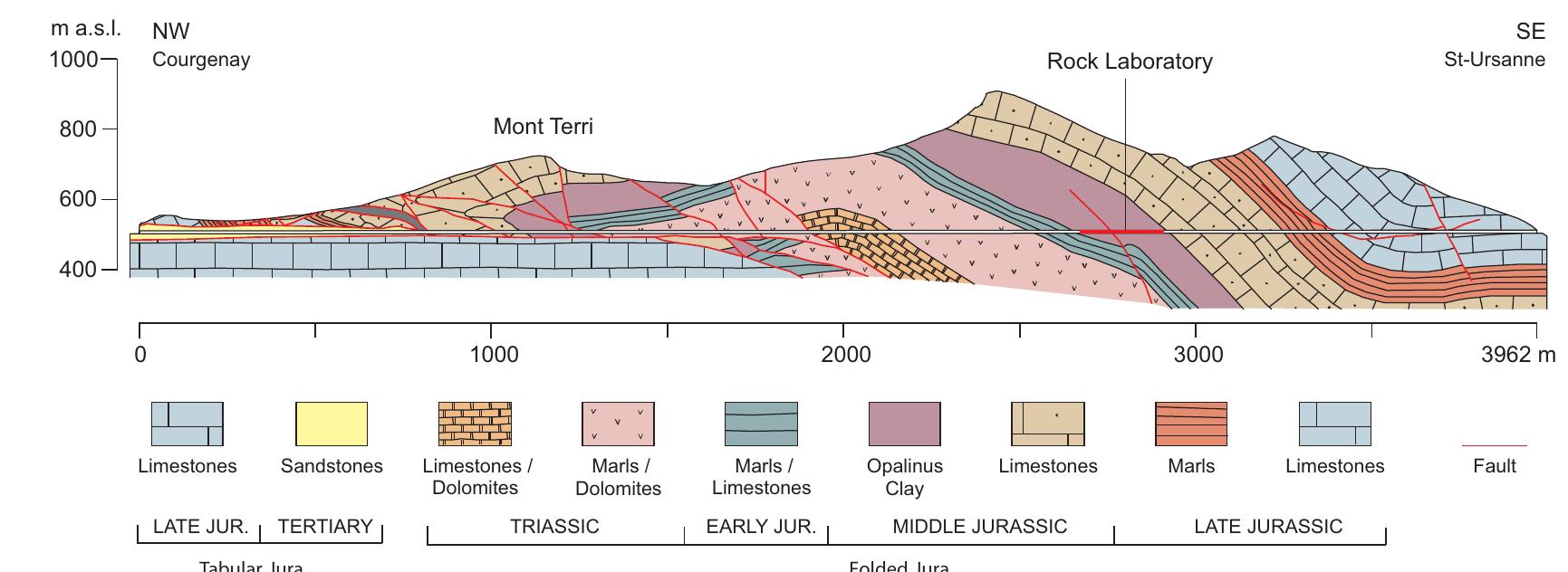 Vertical geological section of the mont terri anticline