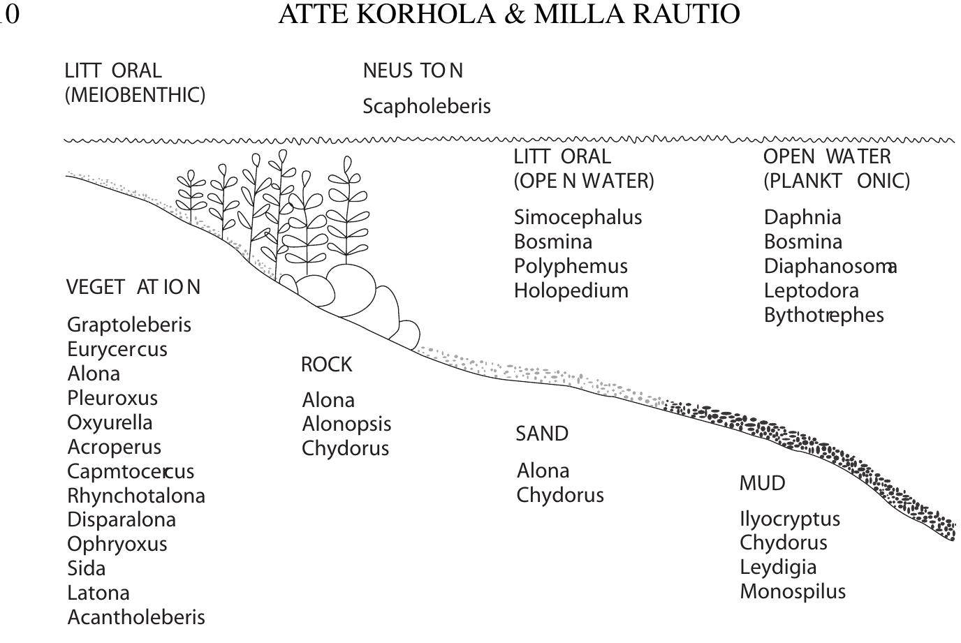 The major ecological niches of cladocera and different