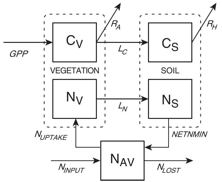 Schematic Diagram Of The Terrestrial Ecosystem Model