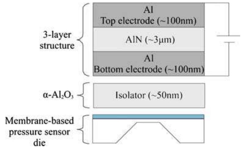 Schematic representation of membrane structure incorporating