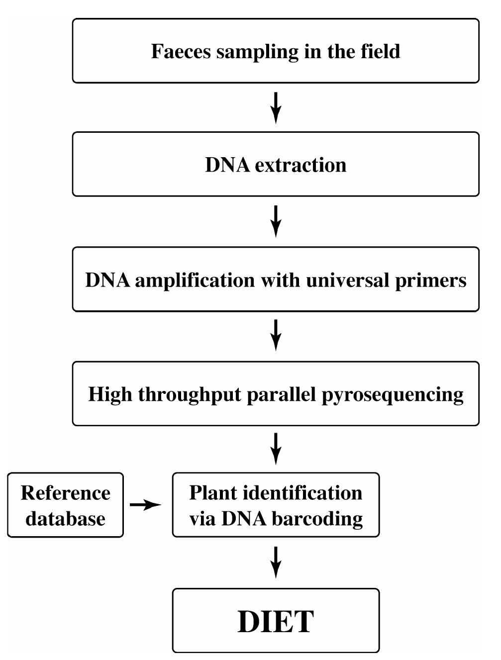 Flowchart diagram showing the main steps of the trnl