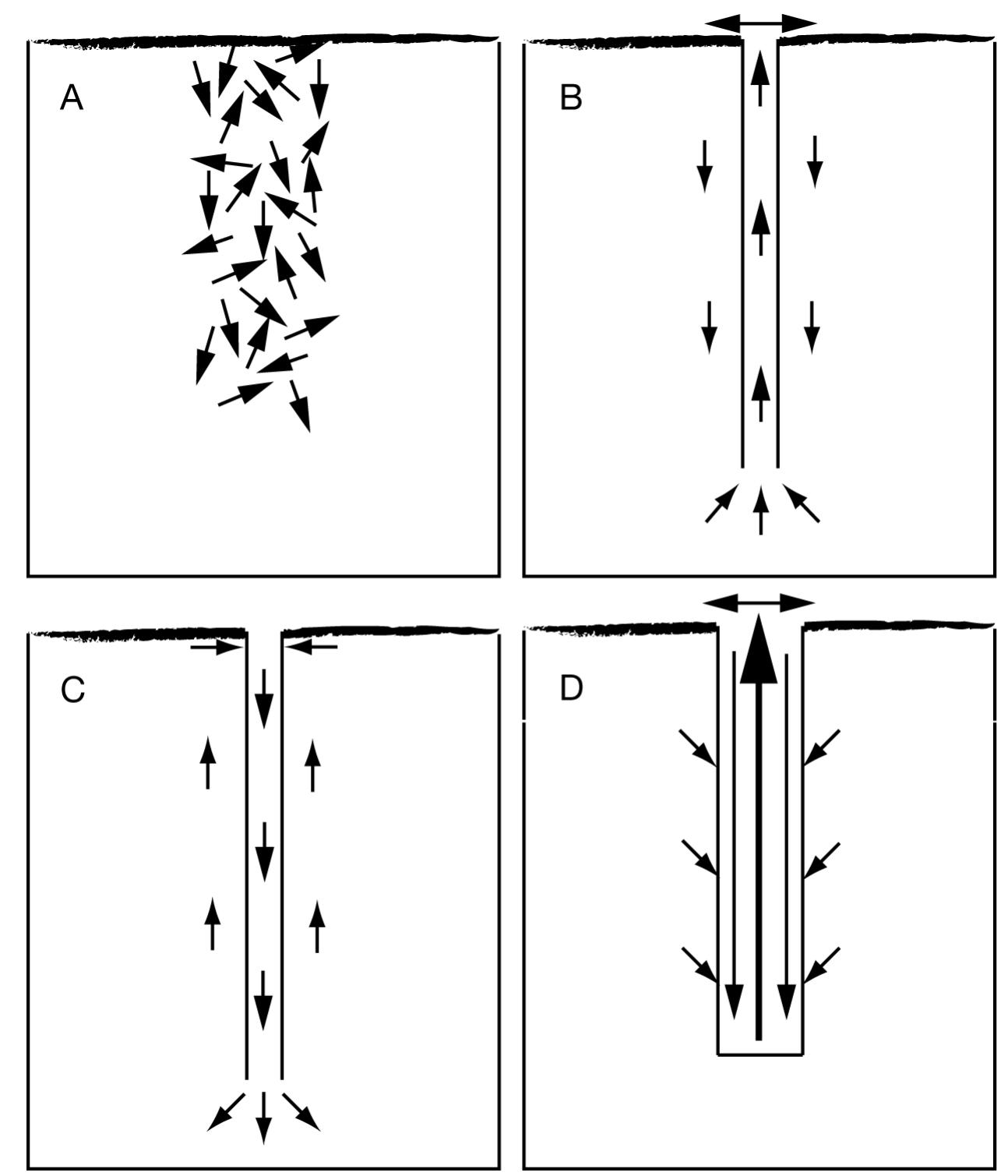 The 4 major types of particle reworking conducted by benthic