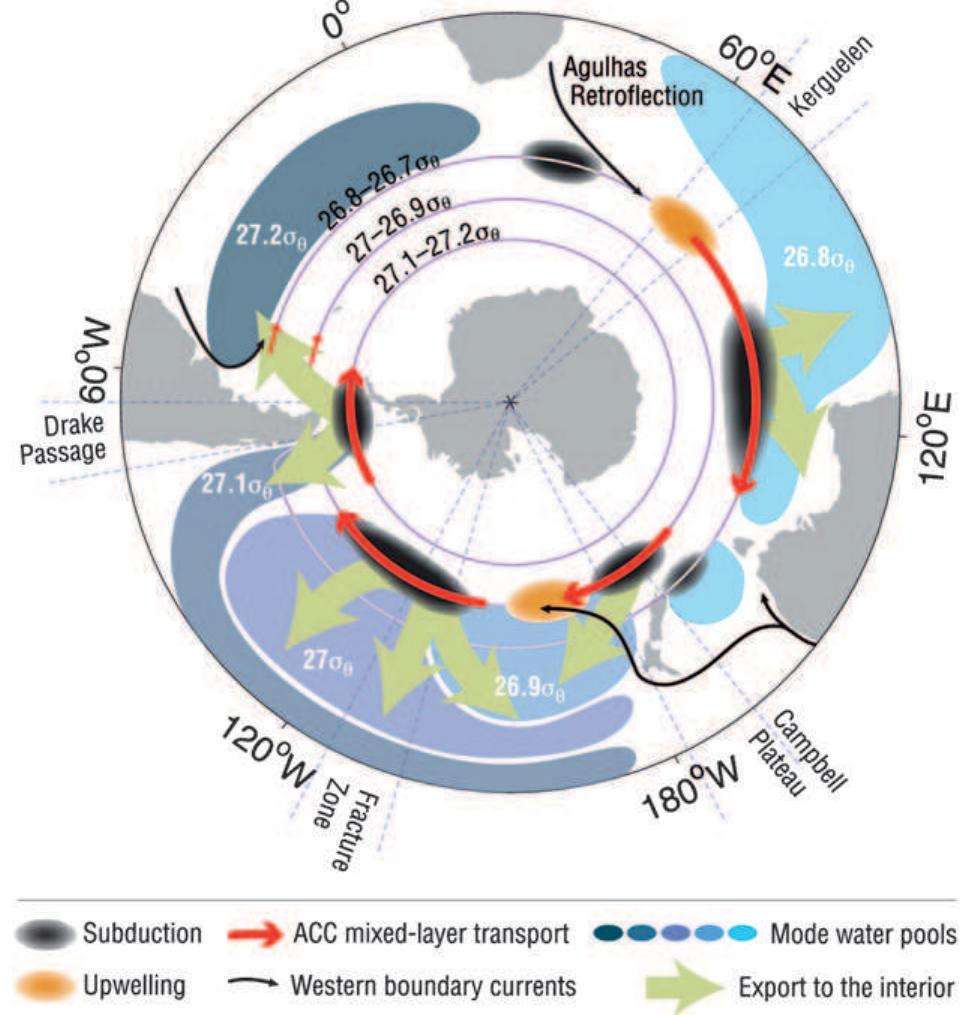 Fic. 13. schematic showing the intense subduction areas and