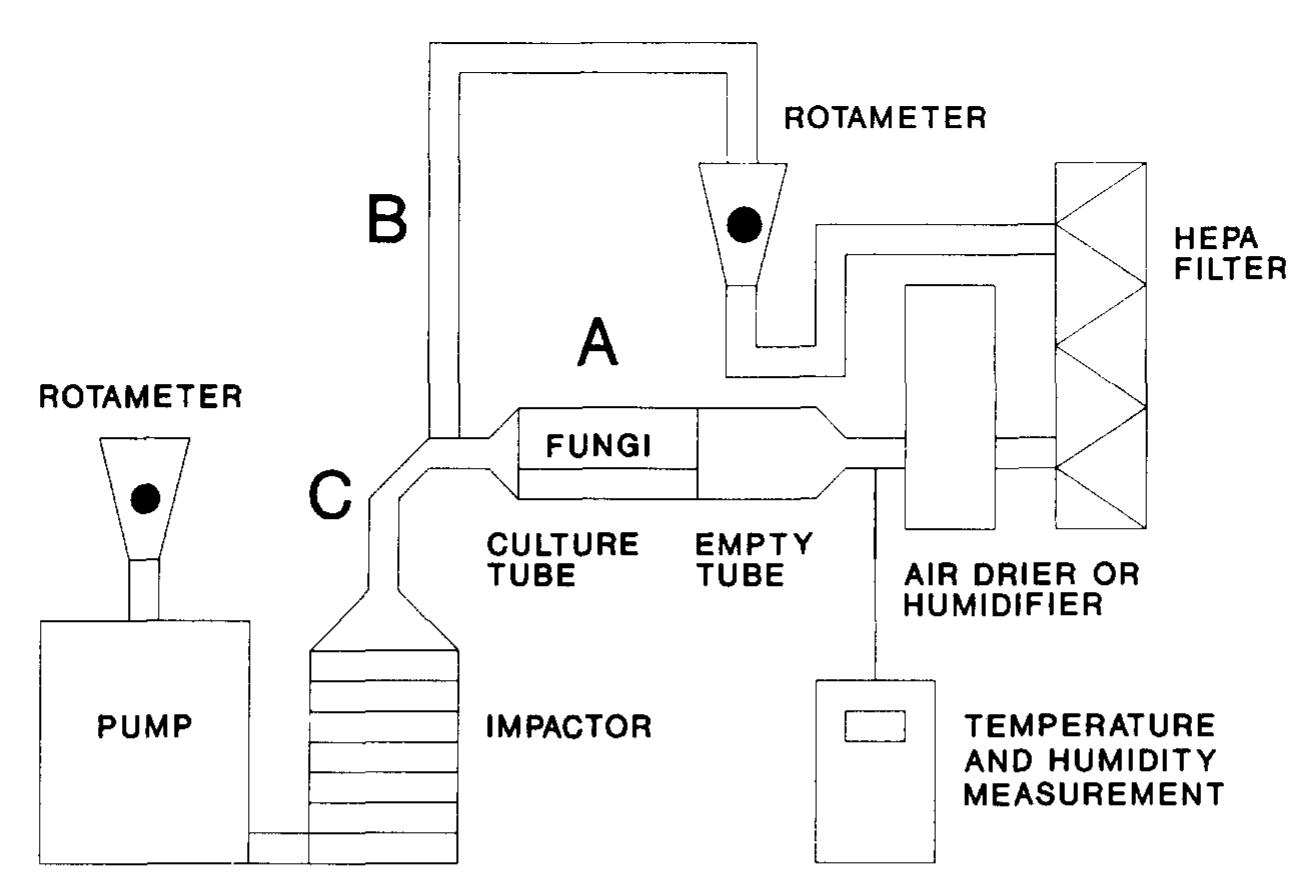 The apparatus used to determine the emission of spores from