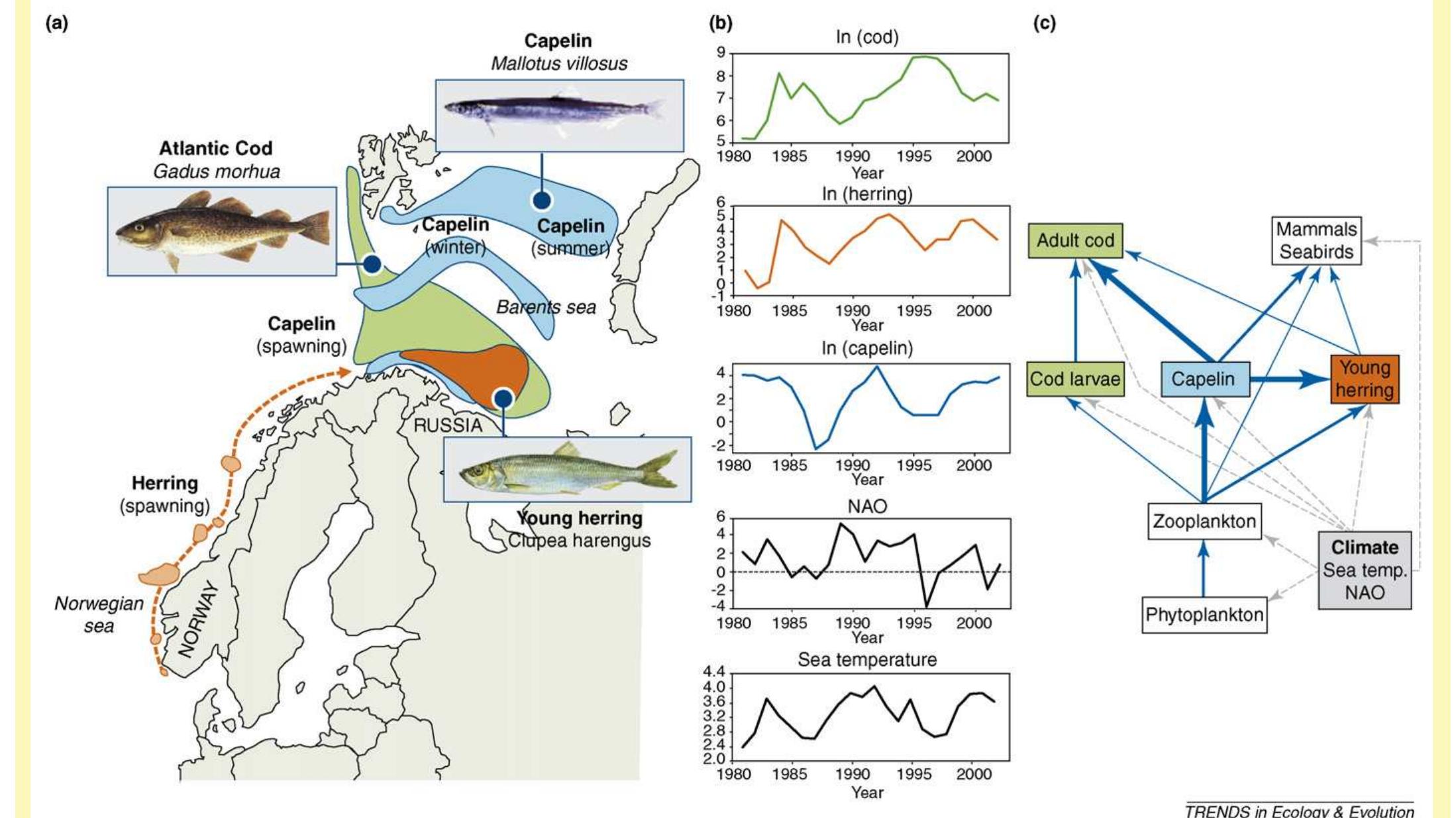 I. the lofoten-barents sea ecosystem description (population