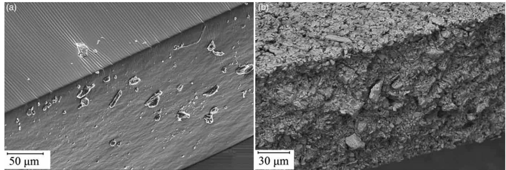 Figure 5 - from A clinoptilolite-PDMS mixed-matrix membrane