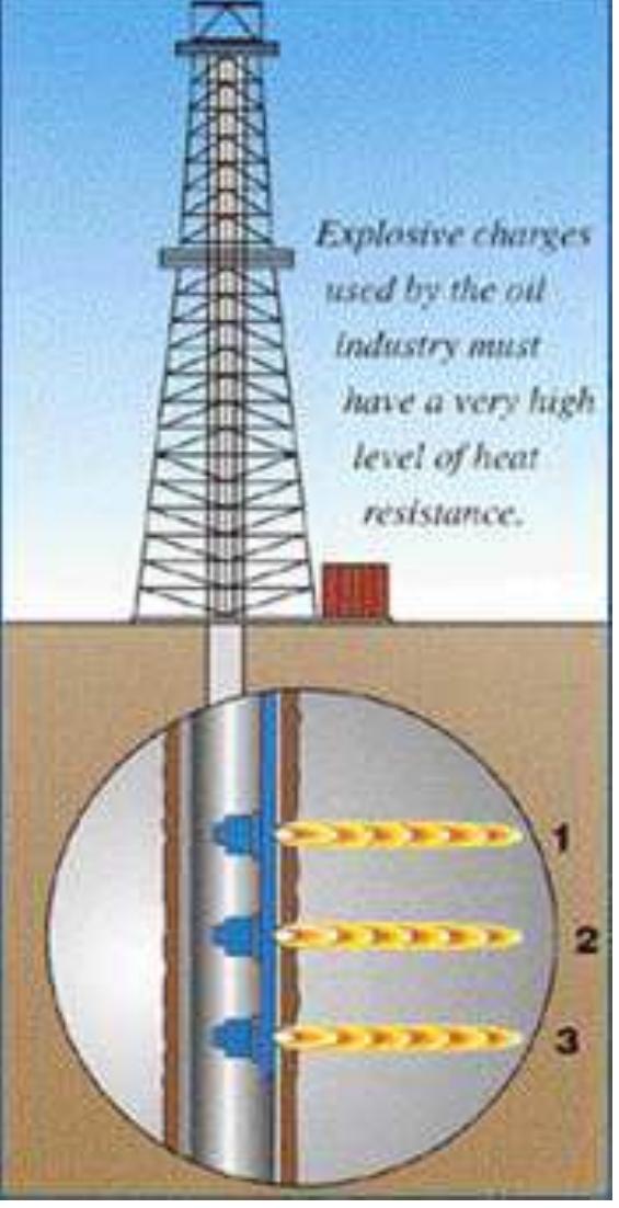 Schematics of a canon and perforation charges in place [31]
