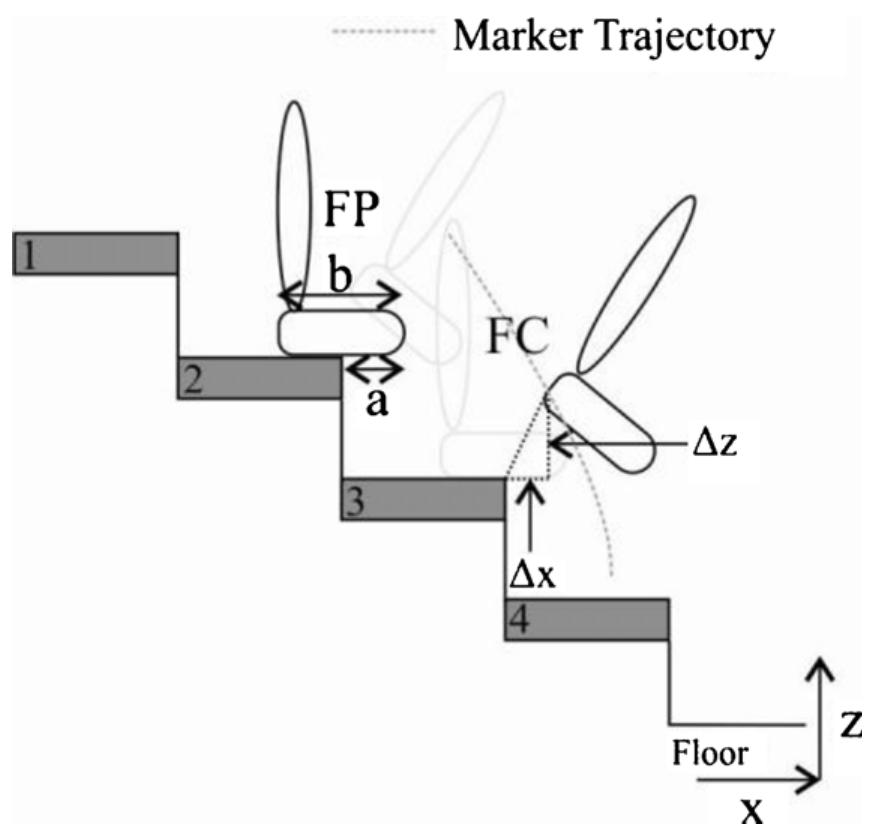 Graphical illustration of foot placement and clearance