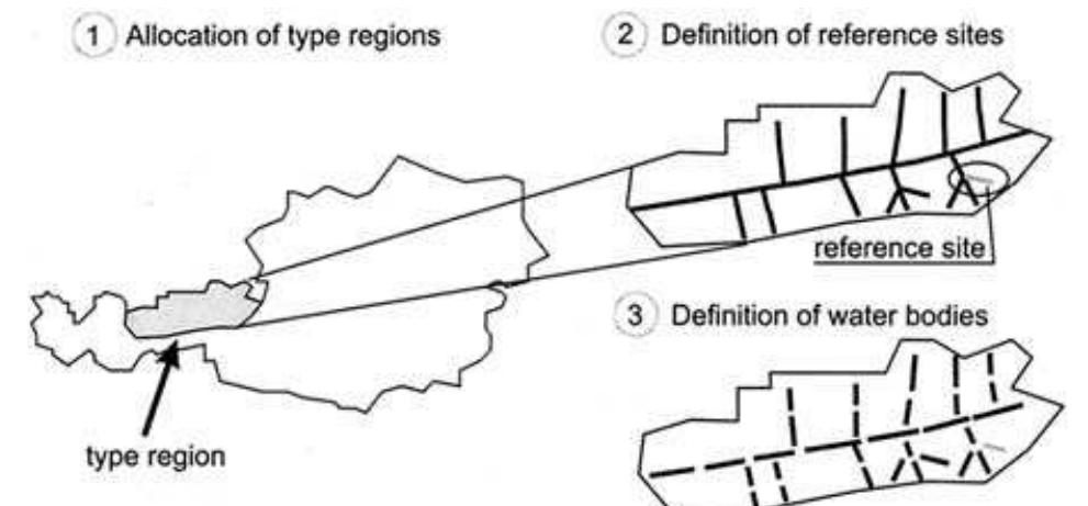 Schematic of typology classification and definition of