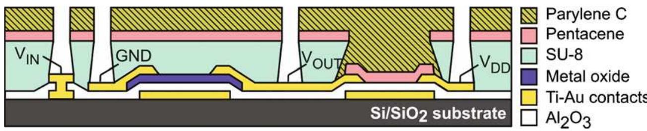 Schematic cross-section of an encapsulated pentacene-metal