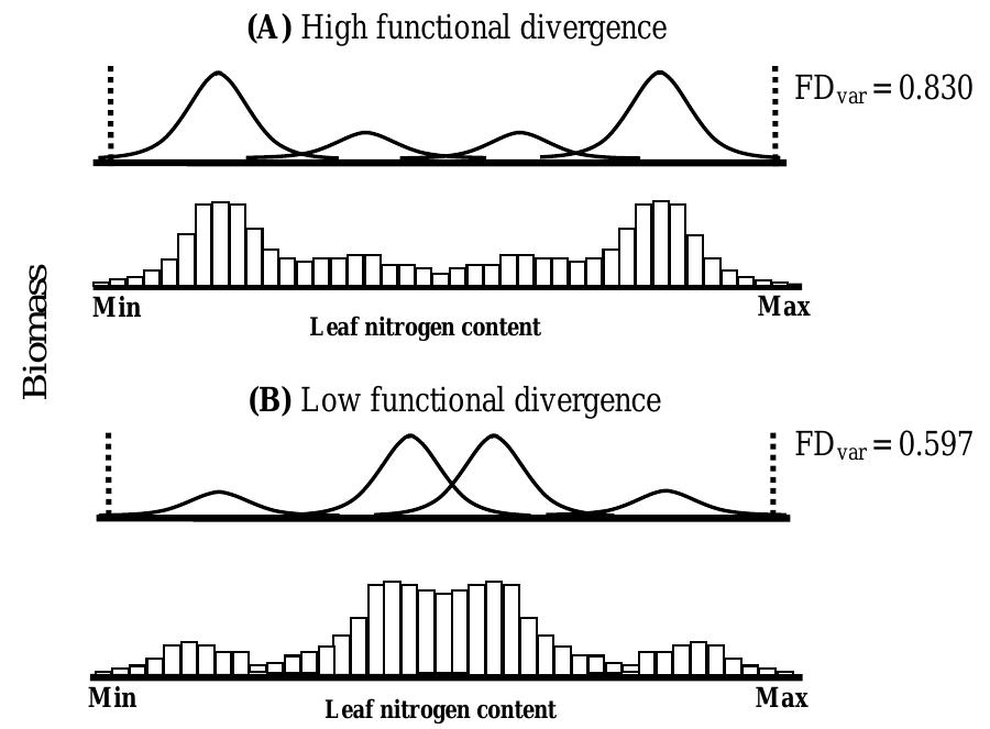 Functional divergence. as in fig. 2 the bell-shaped curves