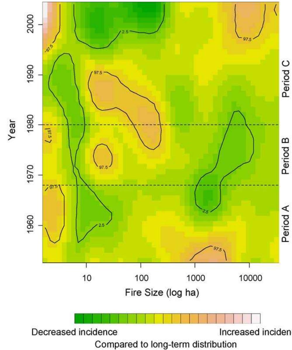 Probability density surface for the frequency-size