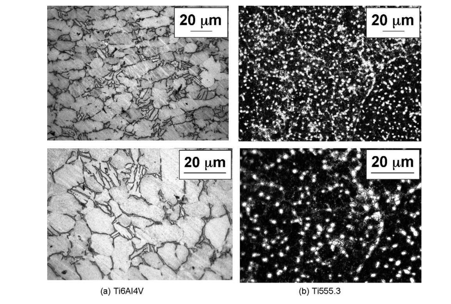 - microstructure of the titanium alloys.