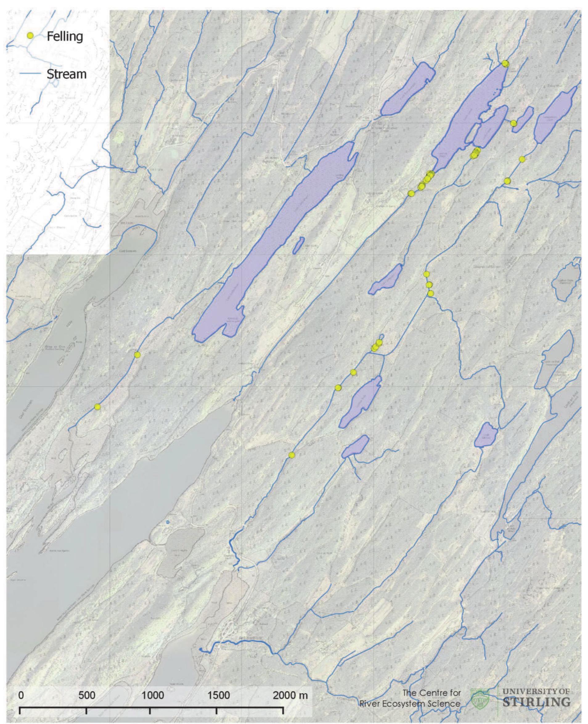 The location of observed riparian felling on the stream