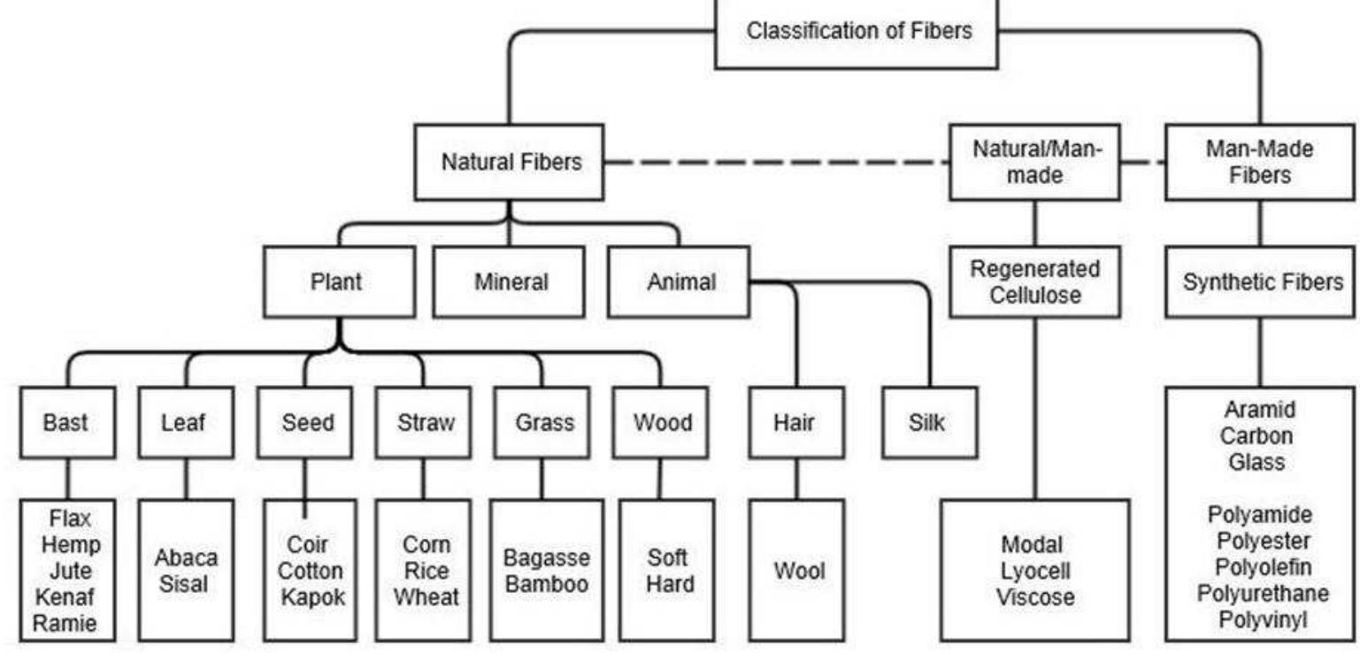 Schematic representation of fibre classification