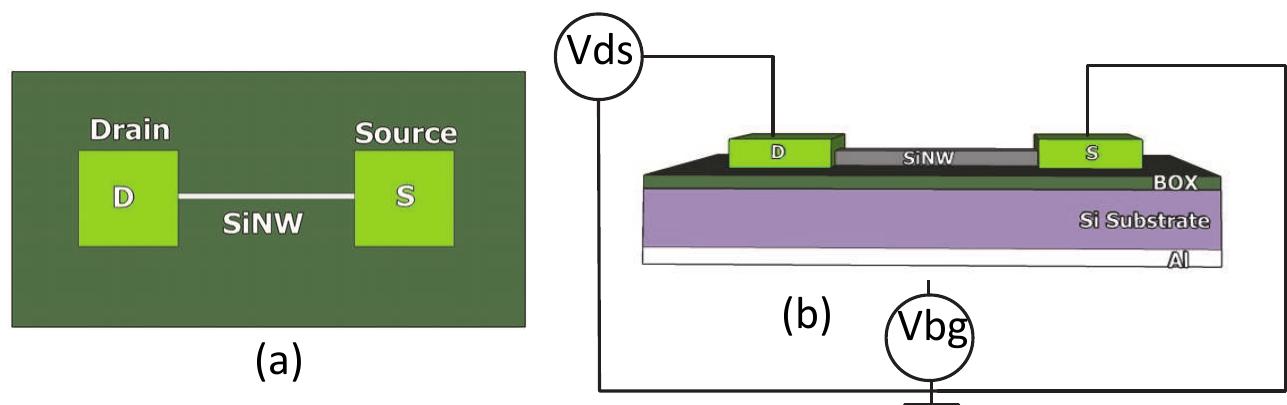 4: (a) schematic top view drawing showing a typical