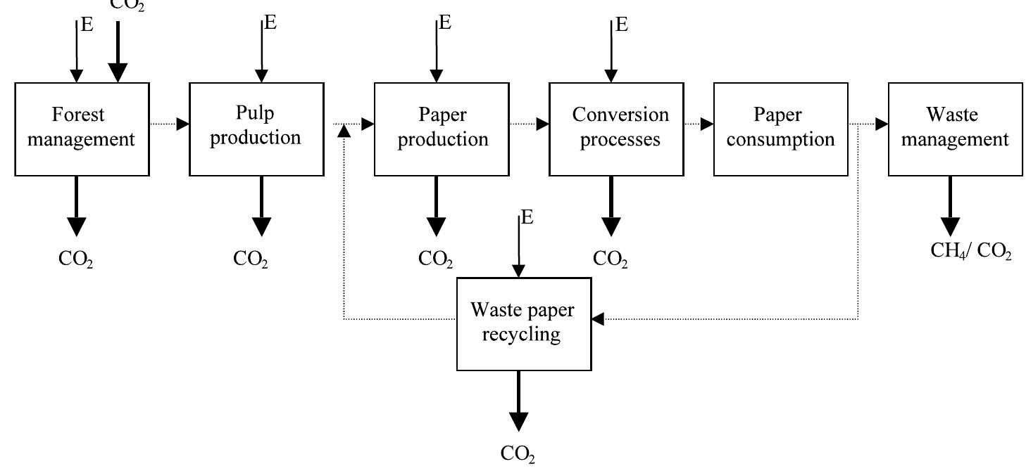 Paper life cycle including sources and sinks of co, and ch,