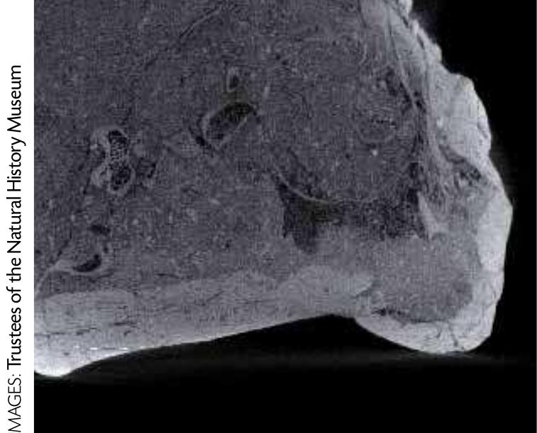 Ct scans of the jericho skull, conducted at the imaging and