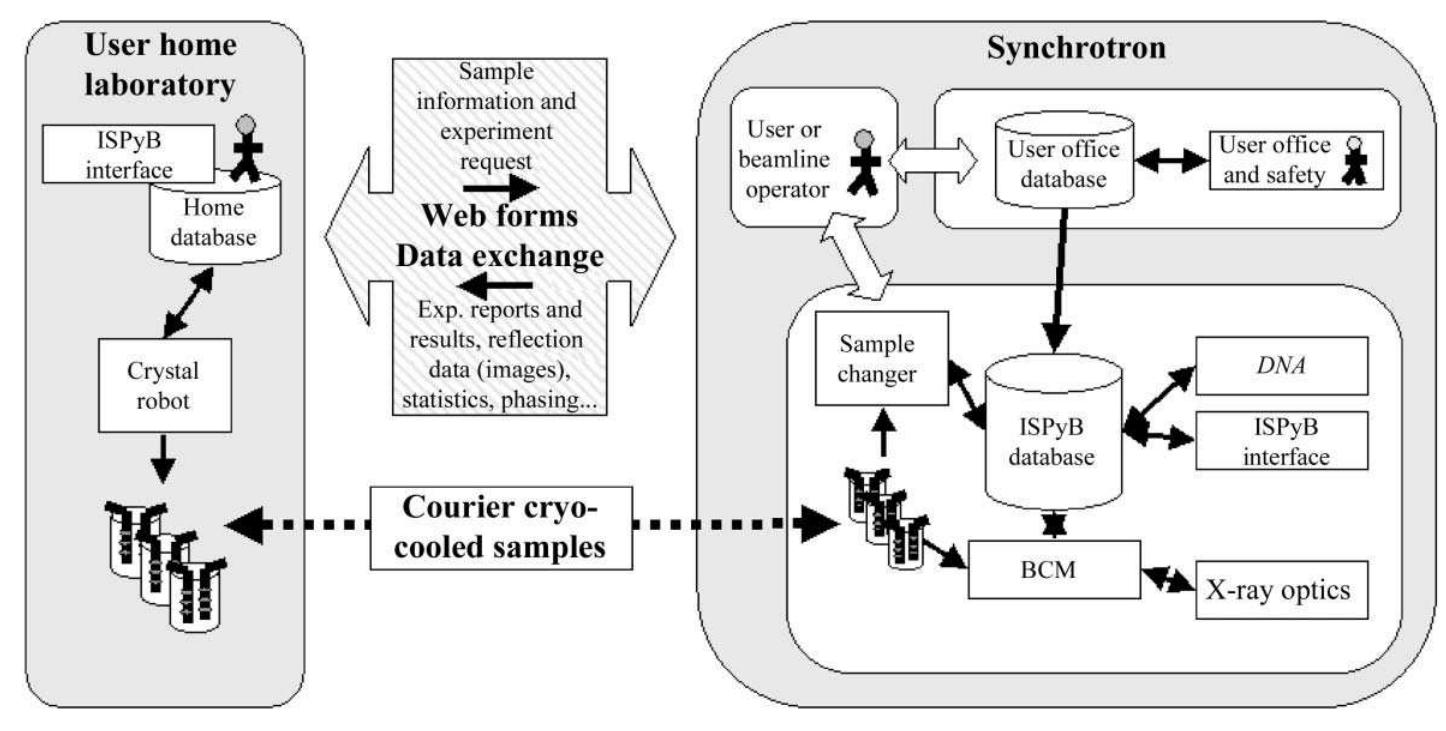 Schematic of dcp for a user experiment. the schematic shows