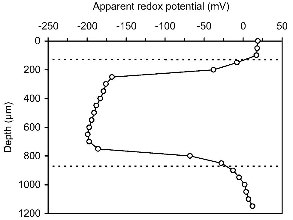 Typical radial profile of apparent redox potential around