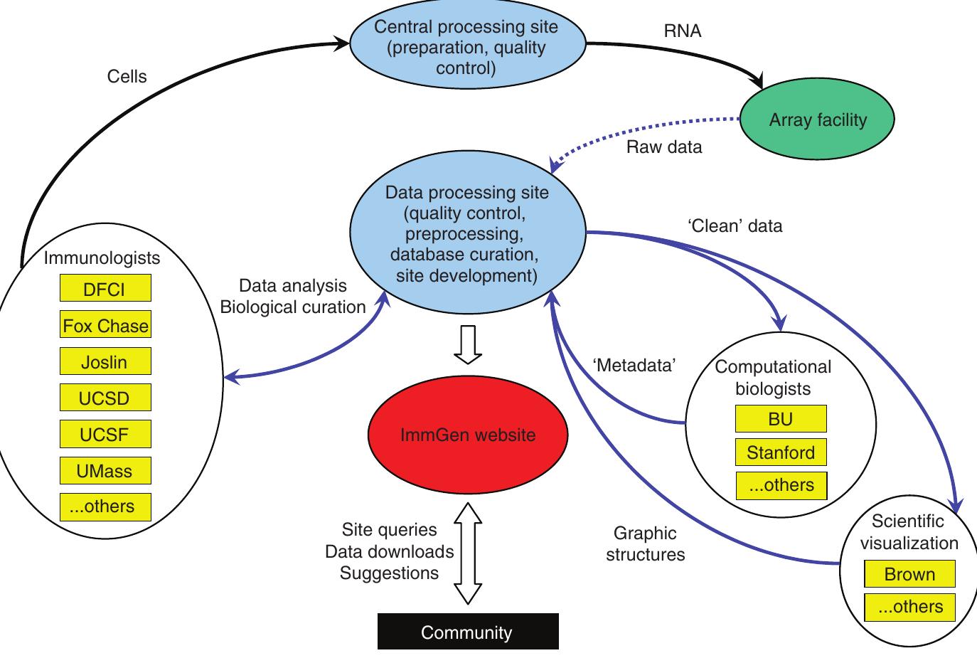 Tracy s.p. heng and michio w. painter are in the section on