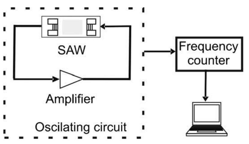 Schematic diagram of the gas sensor system. fig. 4.