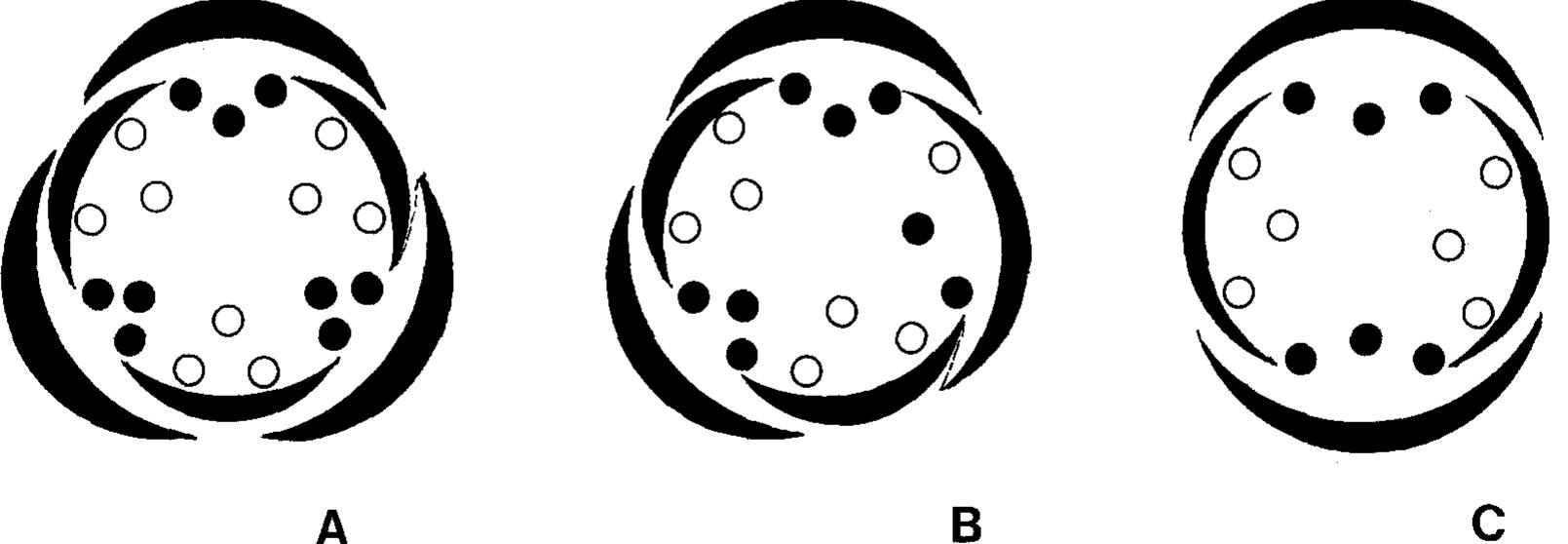(PDF) Merosity in flowers: Definition, origin, and taxonomic significance