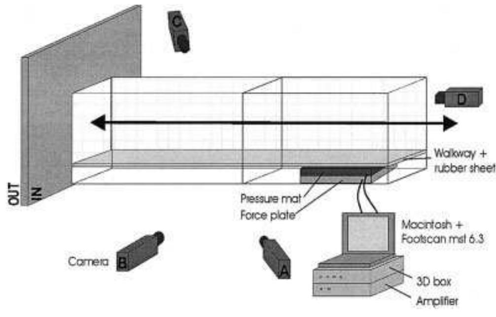 Diagram of indoor gibbon setup in wild animal park,