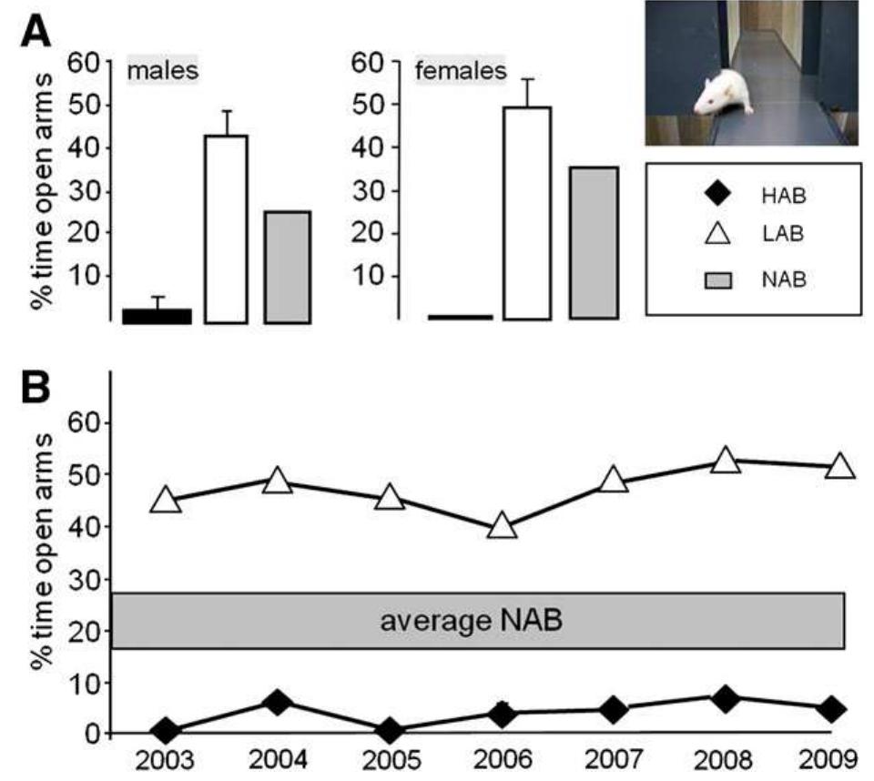 Anxiety-related behavior of male and female hab, lab and