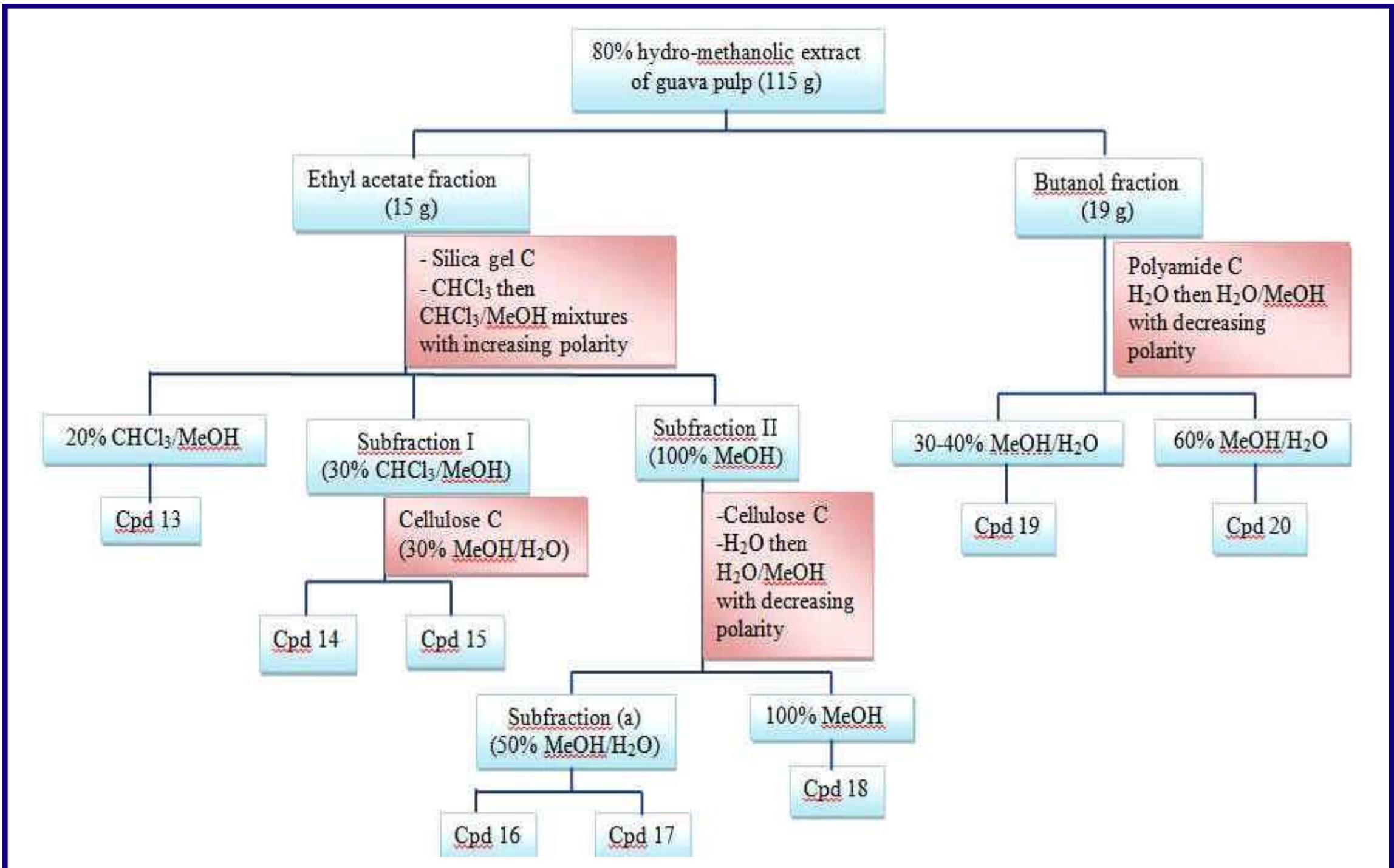 Flow chart of fractionation and purification of compounds