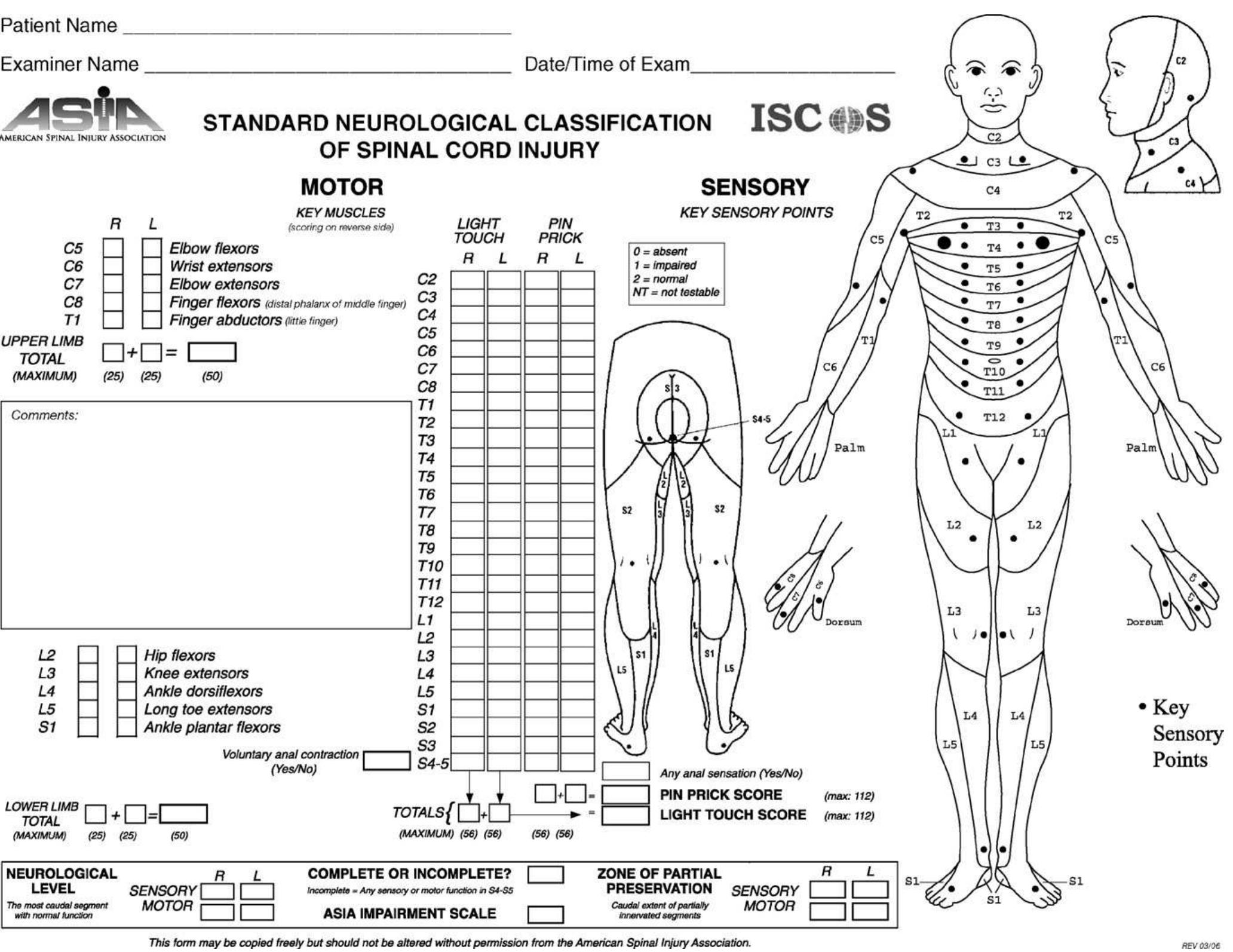 Asia neurological classification form [4].
