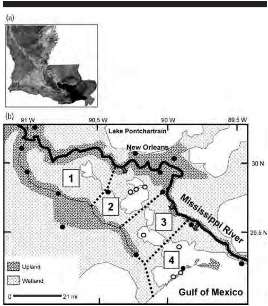 (a) location map showing the location of barataria bay in