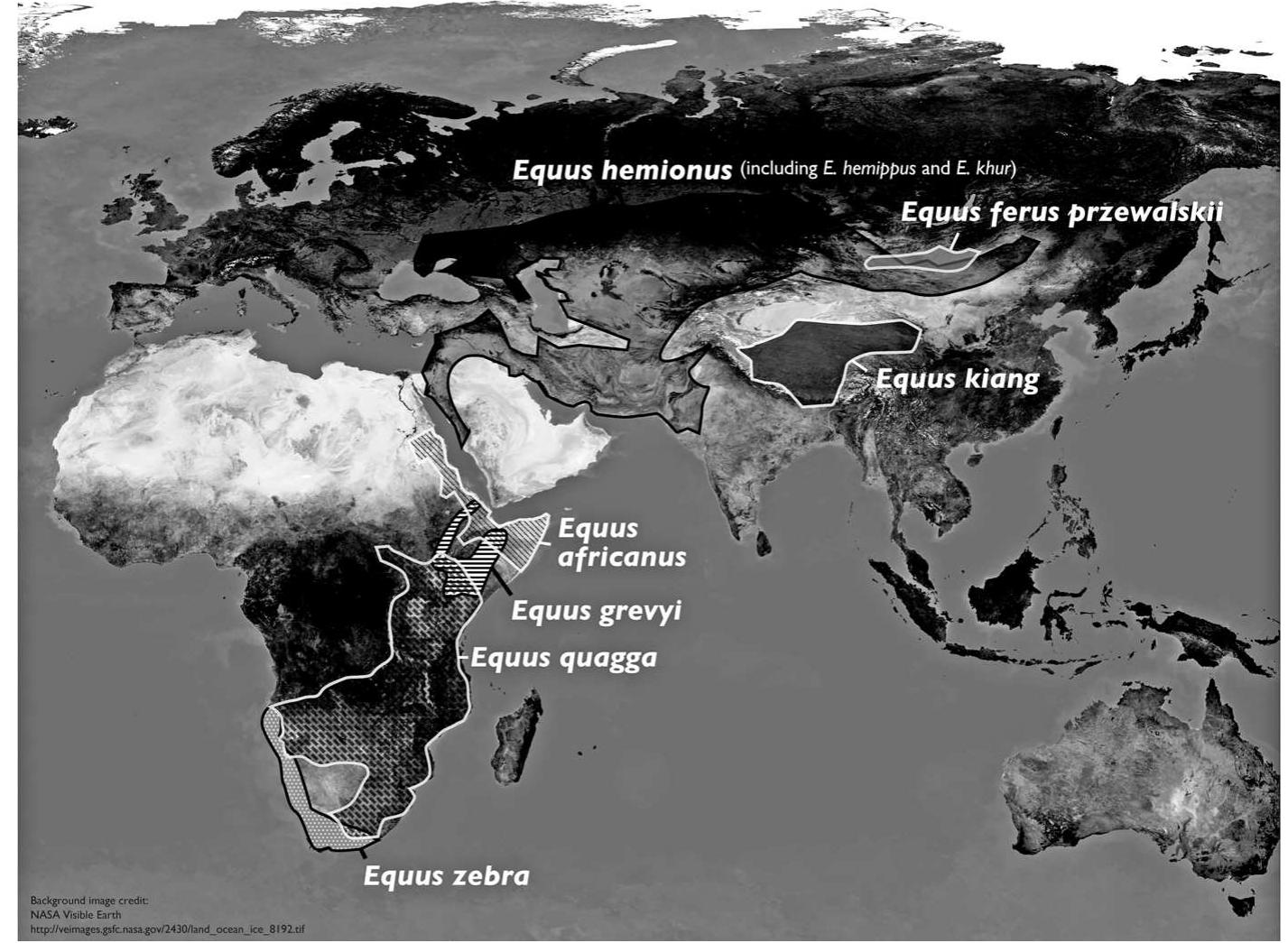 22 reference map of historic ranges of extant equus species