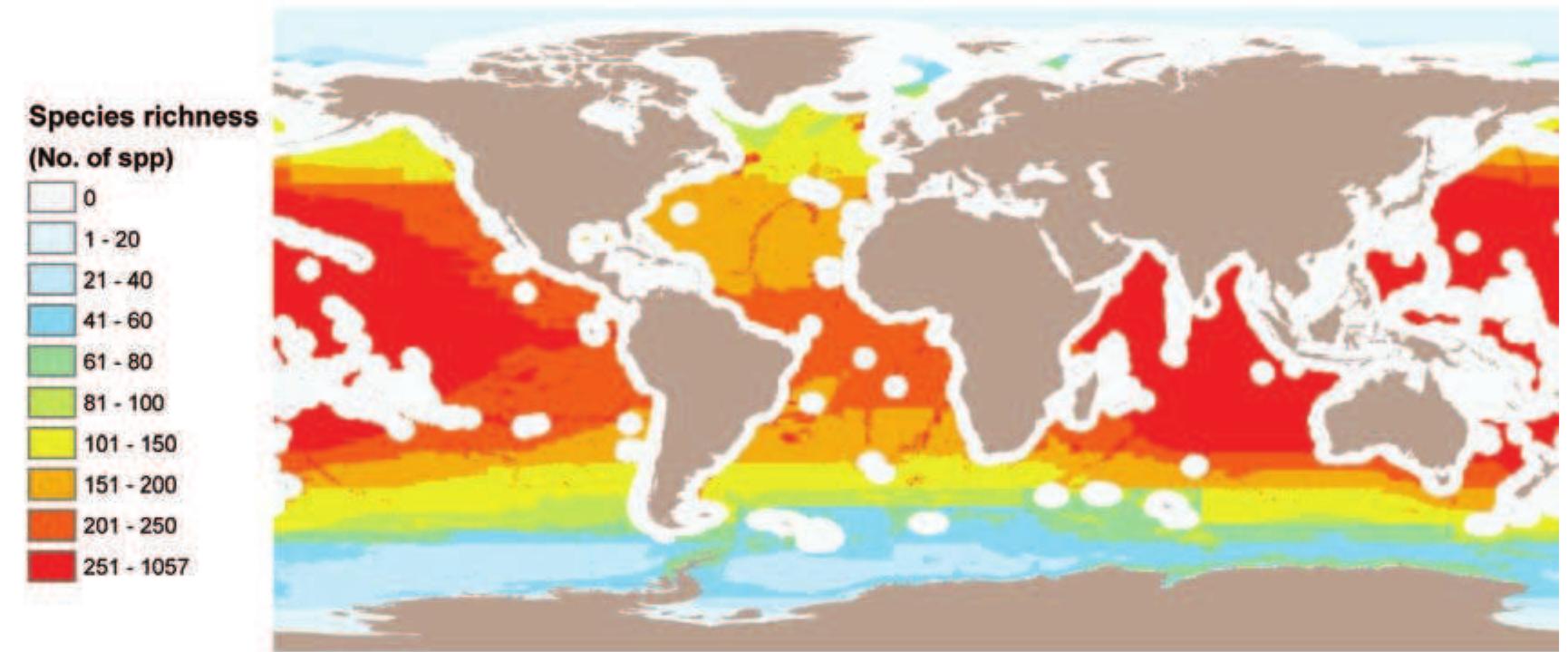 Map of marine fish and higher vertebrates’ species richness