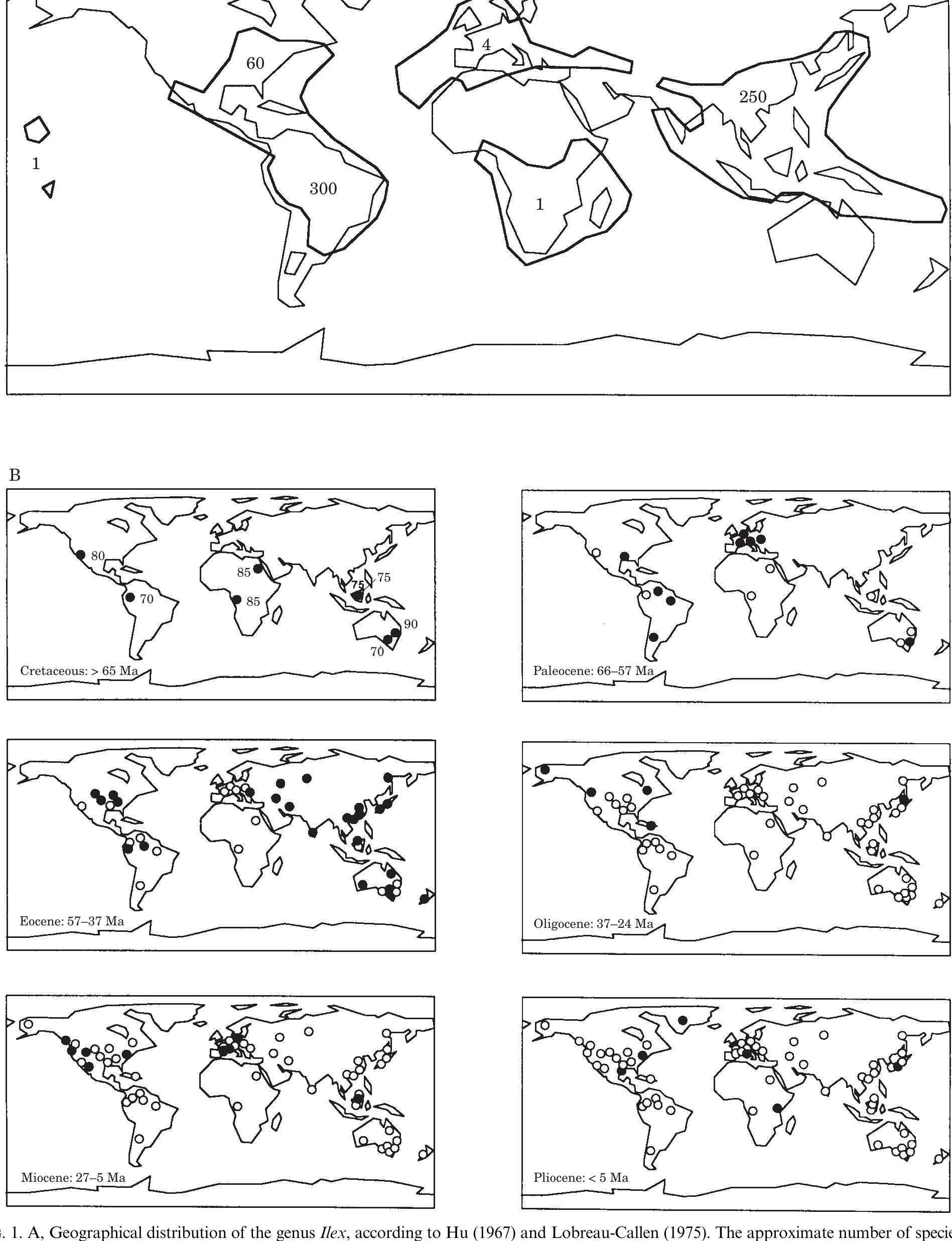 Figure 2 - Molecular Phylogeny and Biogeography of the Genus