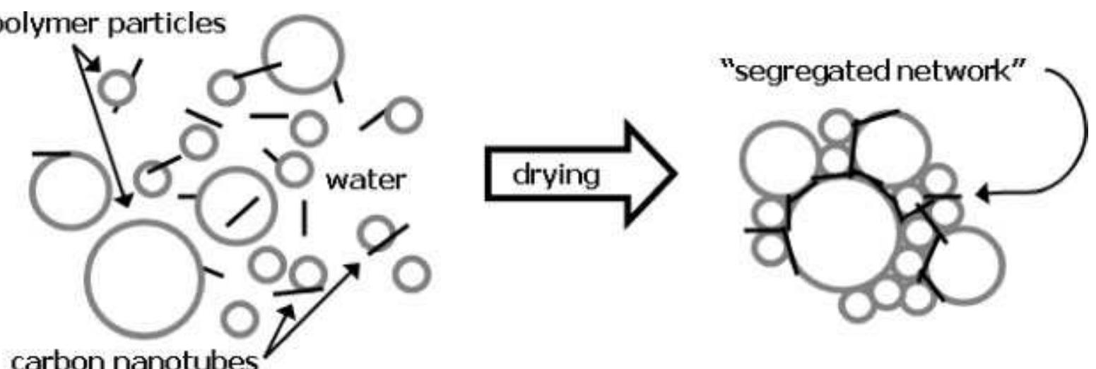 Schematic illustration of the formation of a segregated