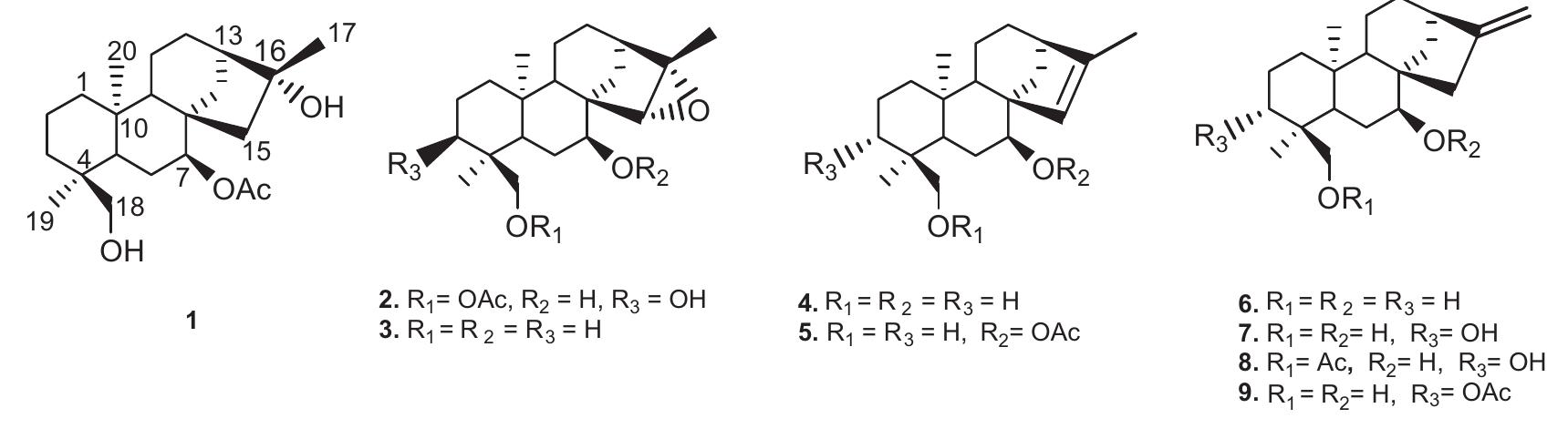 Chemical structures of ent-kaurane diterpenoids 1-9.