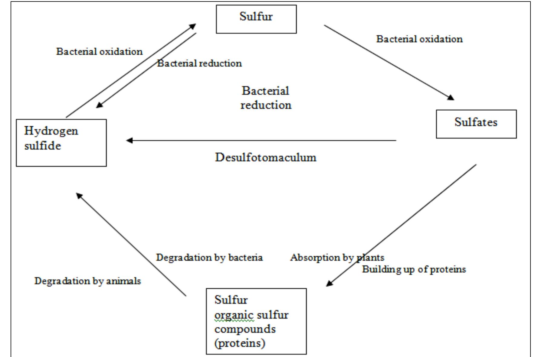 Figure 9 - Uses of Microorganisms in Agriculture, Industry