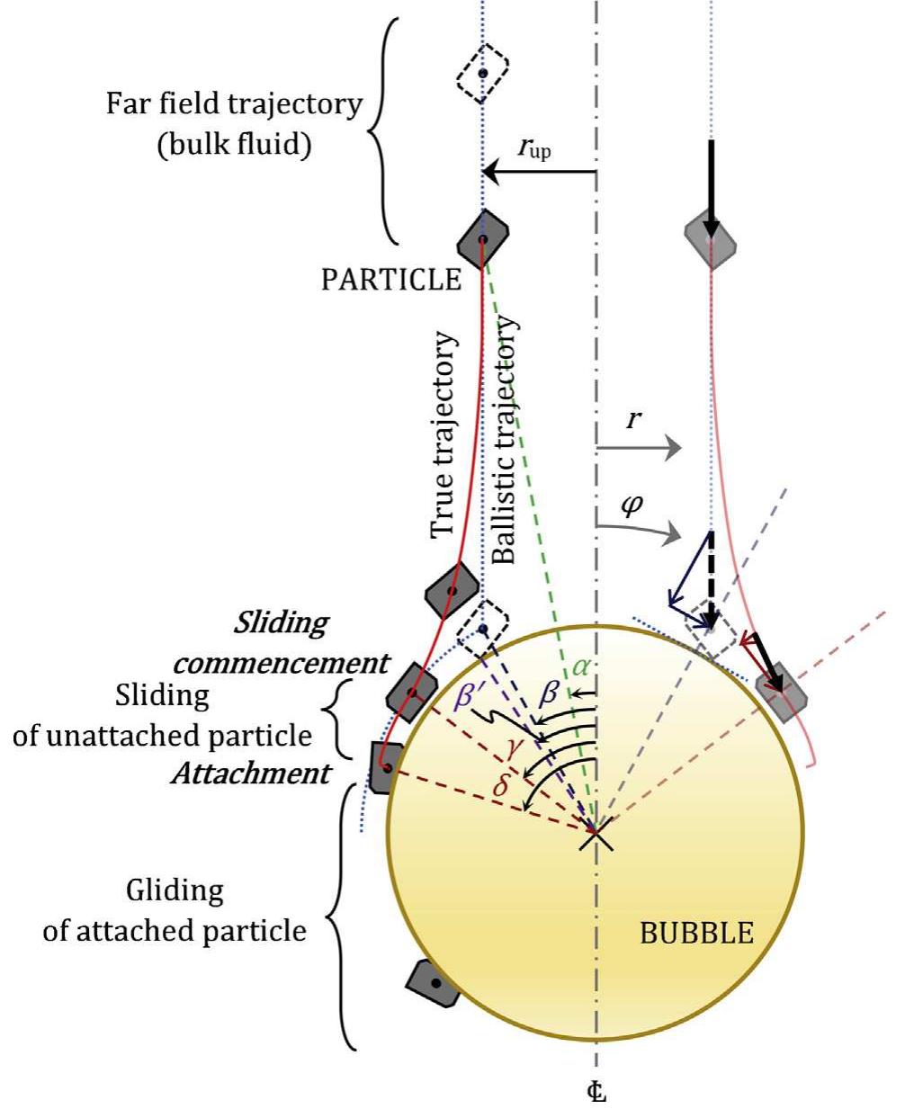 Schematic of a particle interacting with a bubble. left side