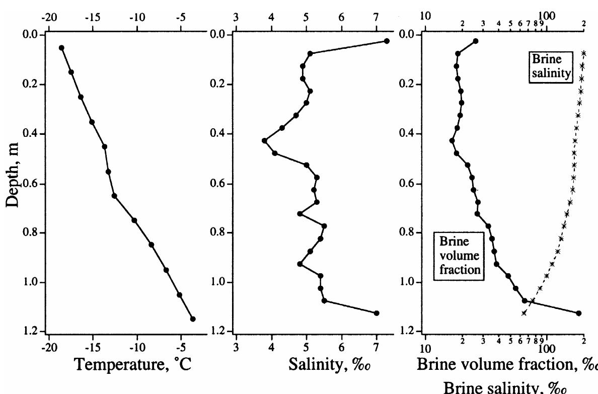 Profiles of temperature (left), salinity (center) as well as