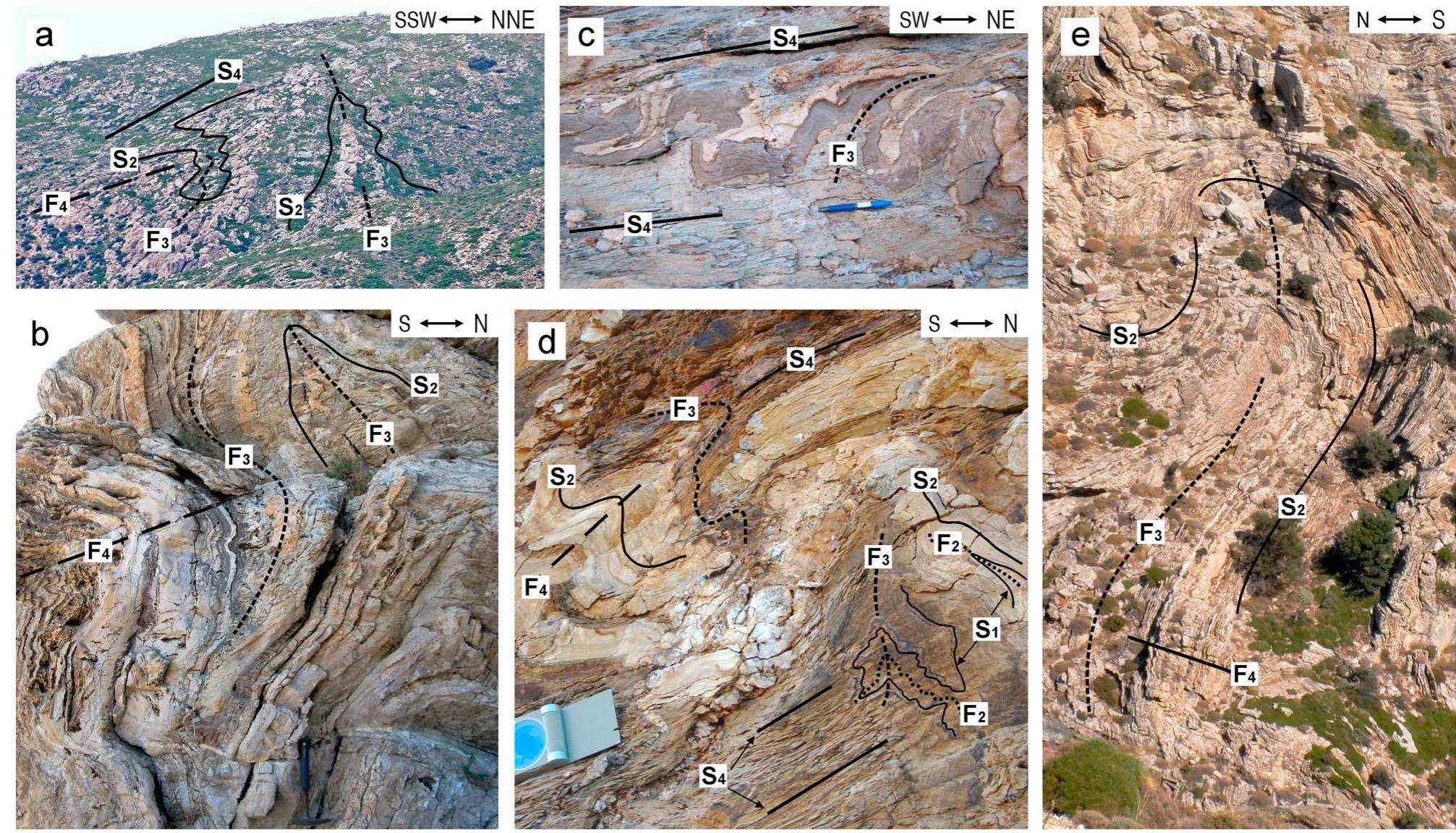 Photographs of f; folds in domains of weak f, folding. (a)