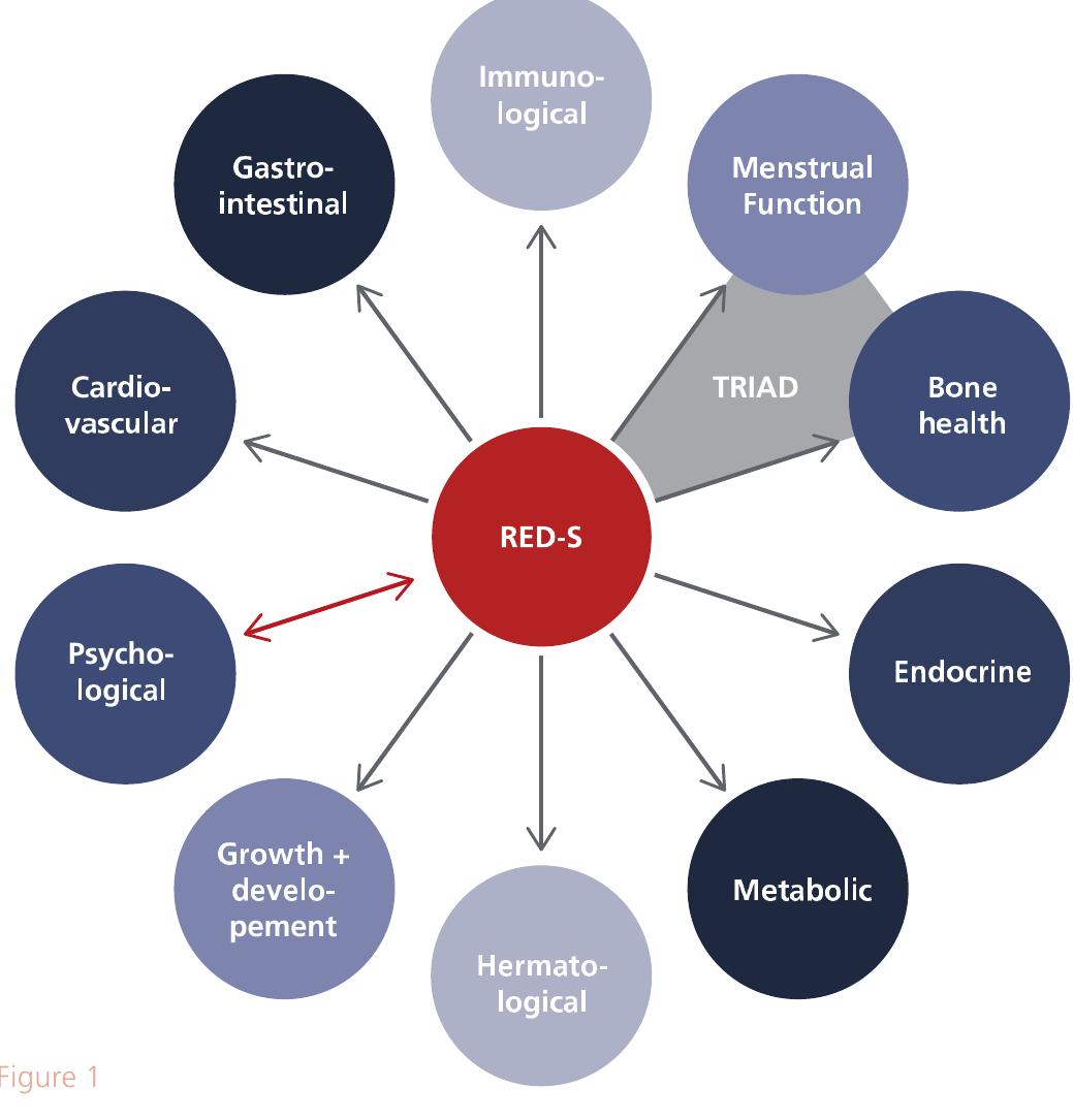 (PDF) RED-S CAT. Relative Energy Deficiency in Sport (RED-S) Clinical ...
